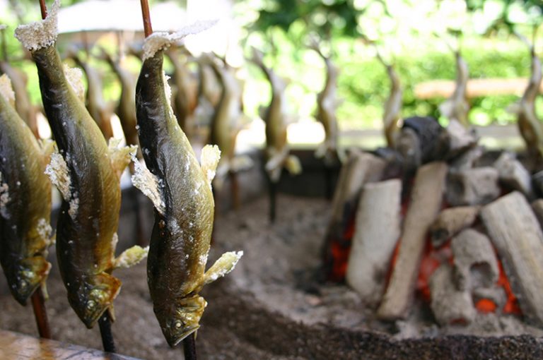 Irresistible Japanese cuisine in Gifu | Visit Gifu | VISIT GIFU