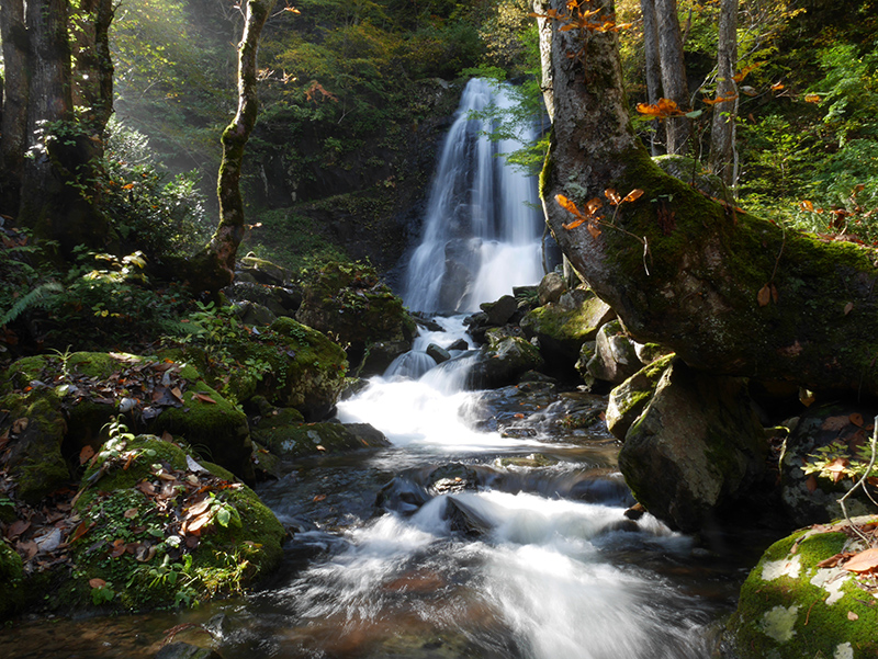 Utsue 48 Waterfalls Prefectural Park | VISIT GIFU – JAPAN Official ...