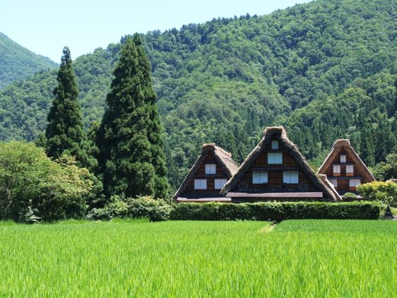 Things to Do in Gifu Japan : A Trip beyond Tradition | VISIT GIFU