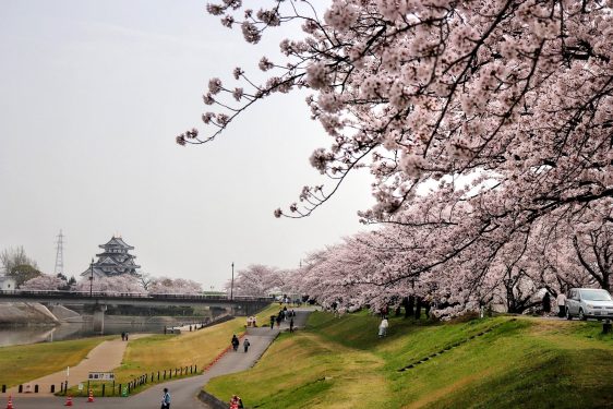 “Overnight” Japanese castle in Sunomata