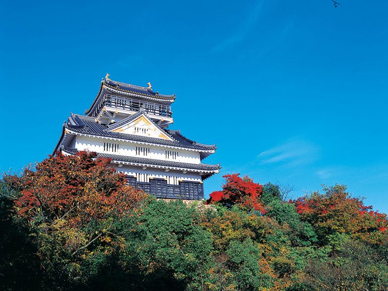 Things to Do in Gifu Japan : A Trip beyond Tradition | VISIT GIFU