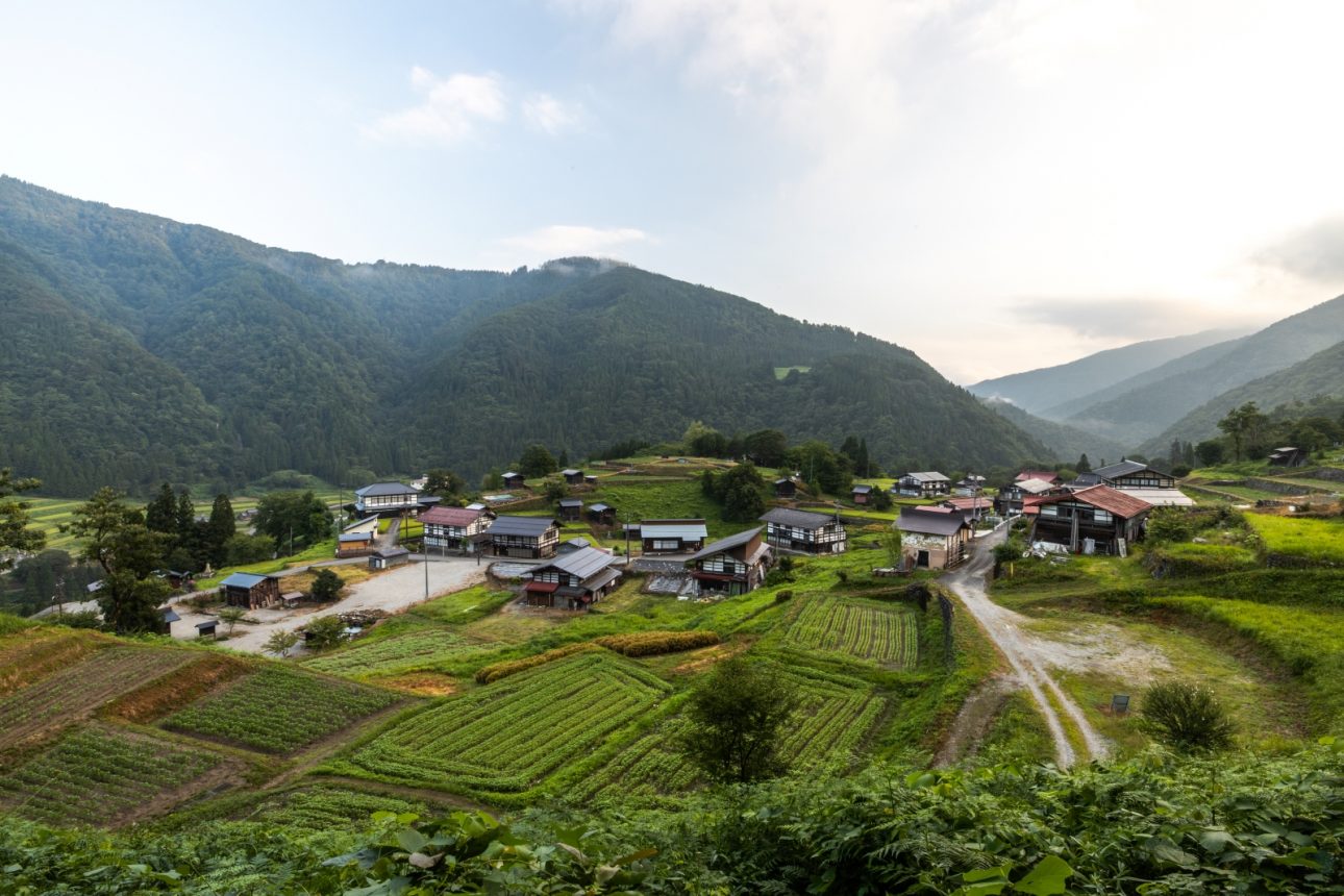 Gifu Activities: Discover Sustained Japanese Countryside