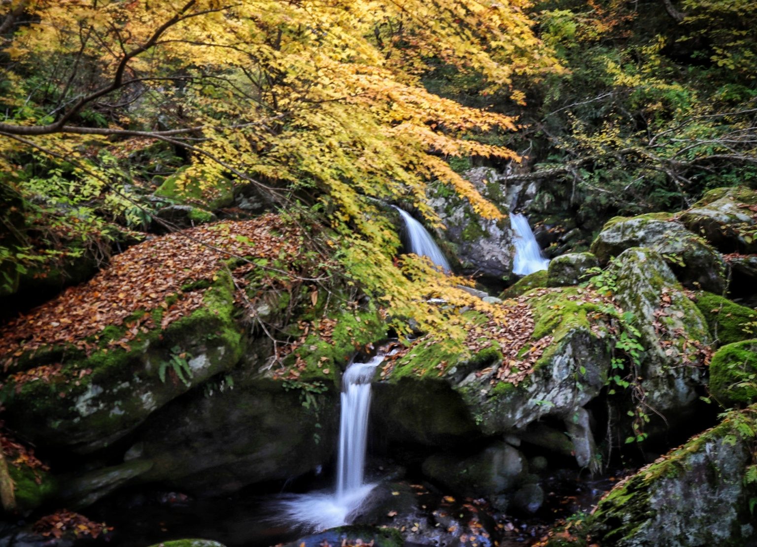 Amidaga Falls | VISIT GIFU