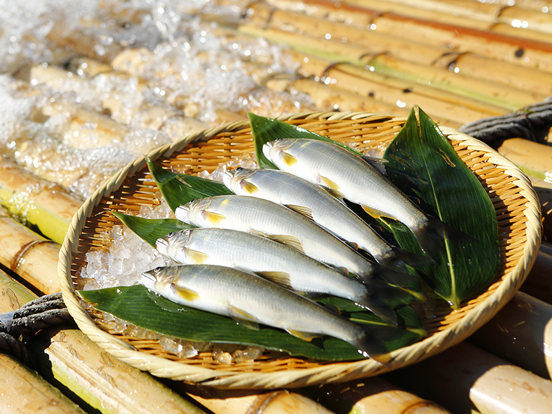 Japanese Cuisine: Popular Japanese Food in Gifu | VISIT GIFU