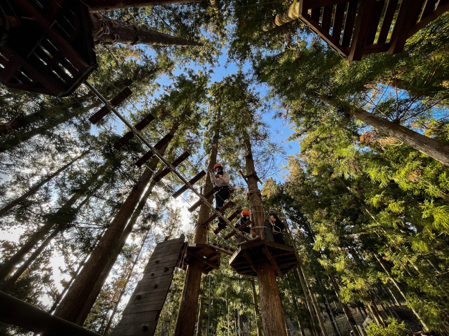 Maze Village | VISIT GIFU