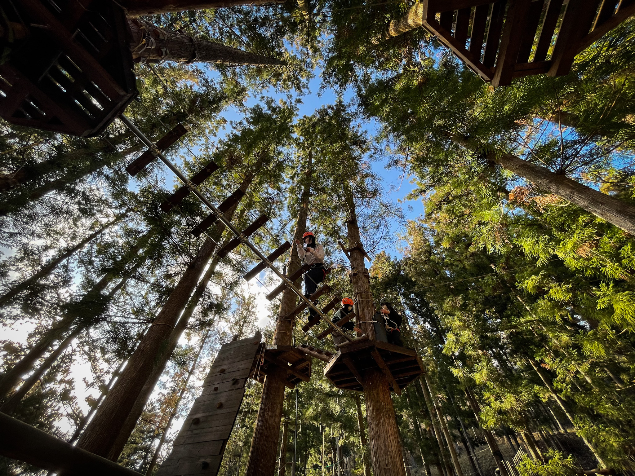 Maze Village | VISIT GIFU