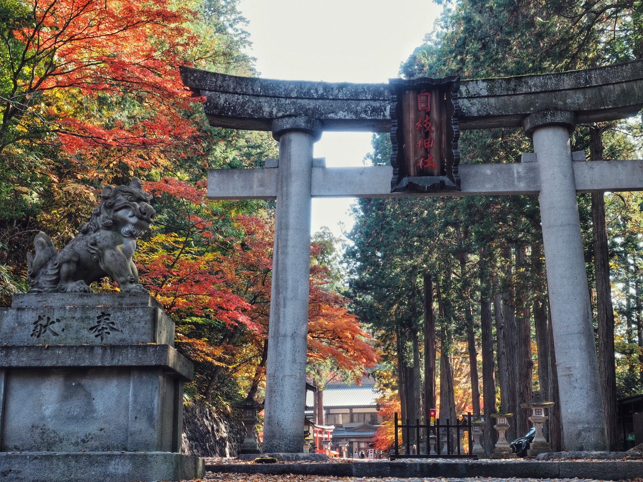 Autumn Colors of Takayama