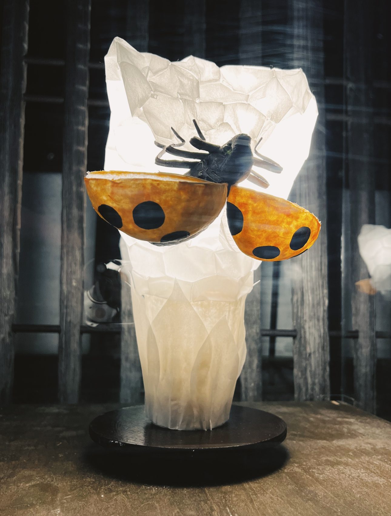 2022 Mino-Washi “Akari” Art Exhibition – showcasing the gentle beauty ...