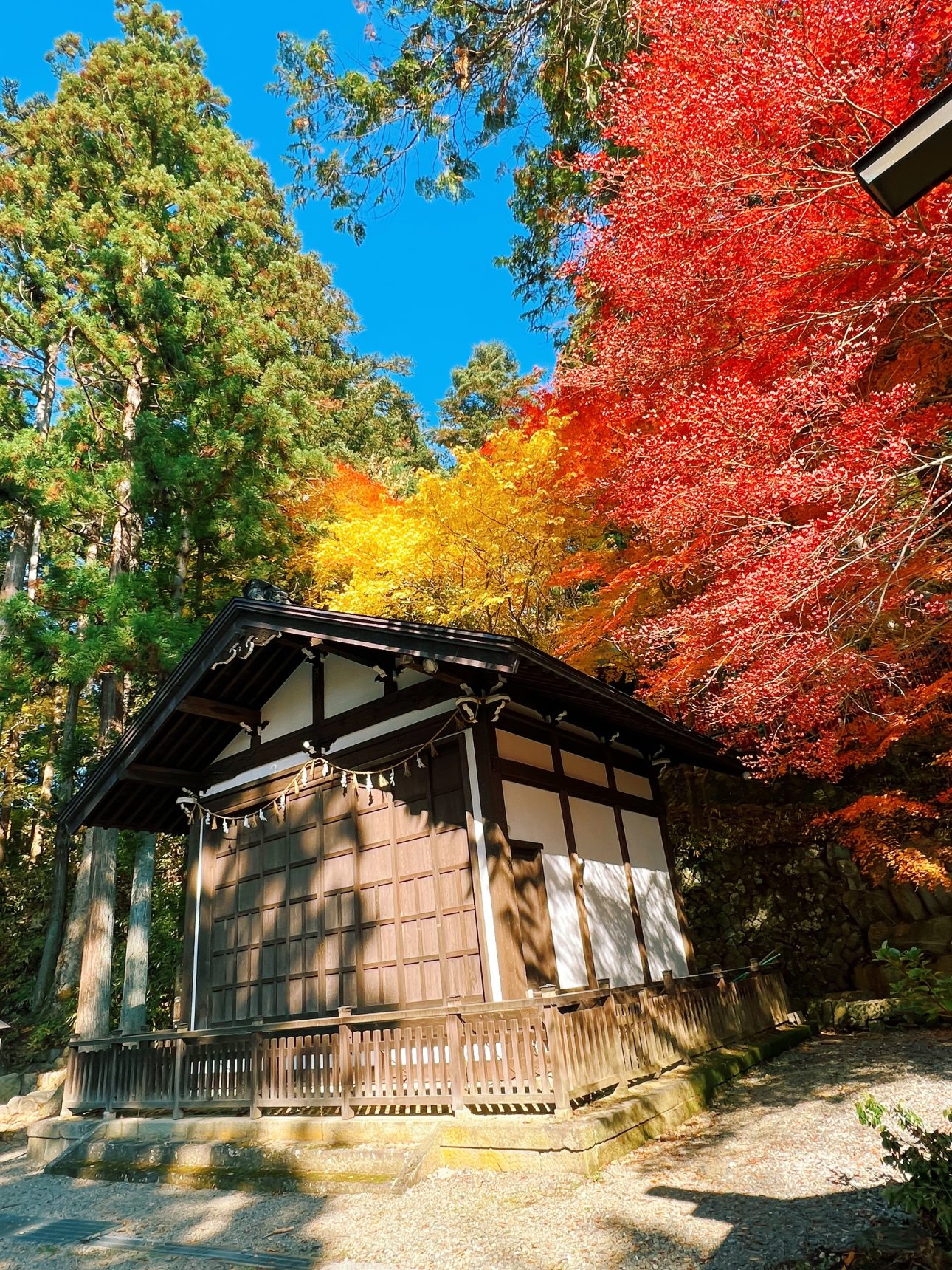 Autumn Colors of Takayama | VISIT GIFU