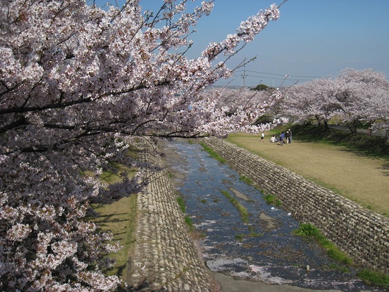 Hanedani Dan Dan Park | VISIT GIFU