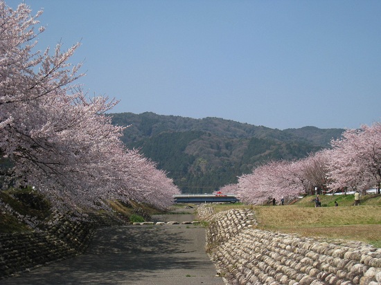 Hanedani Dan Dan Park | VISIT GIFU